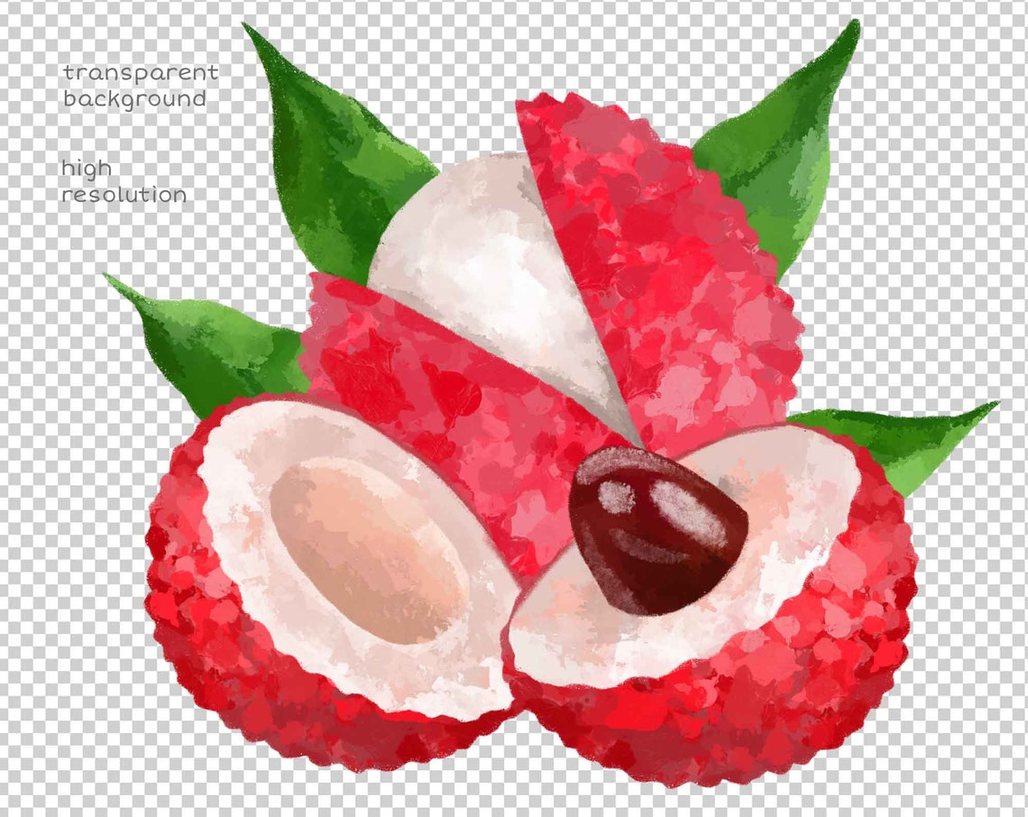 Lychee Clipart Png Tropical Fruit Illustration Digital Download,lychee ...
