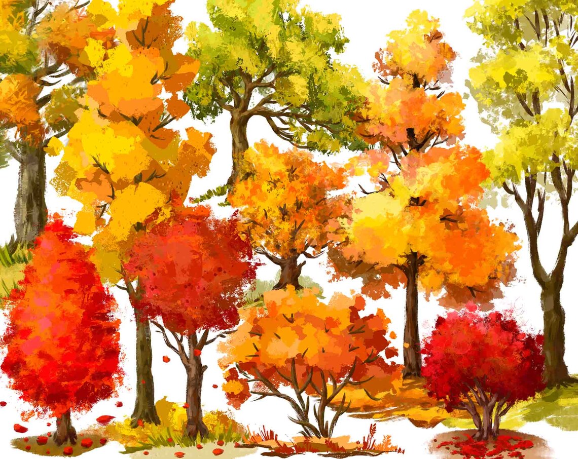 Fall Tree Png Clipart Digital Downloadautumn Trees Watercolor | Etsy