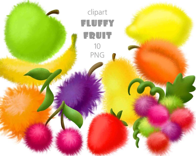 Cute Fruit Png Clipart Digital Filesfluffy Fruit Clipart - Etsy