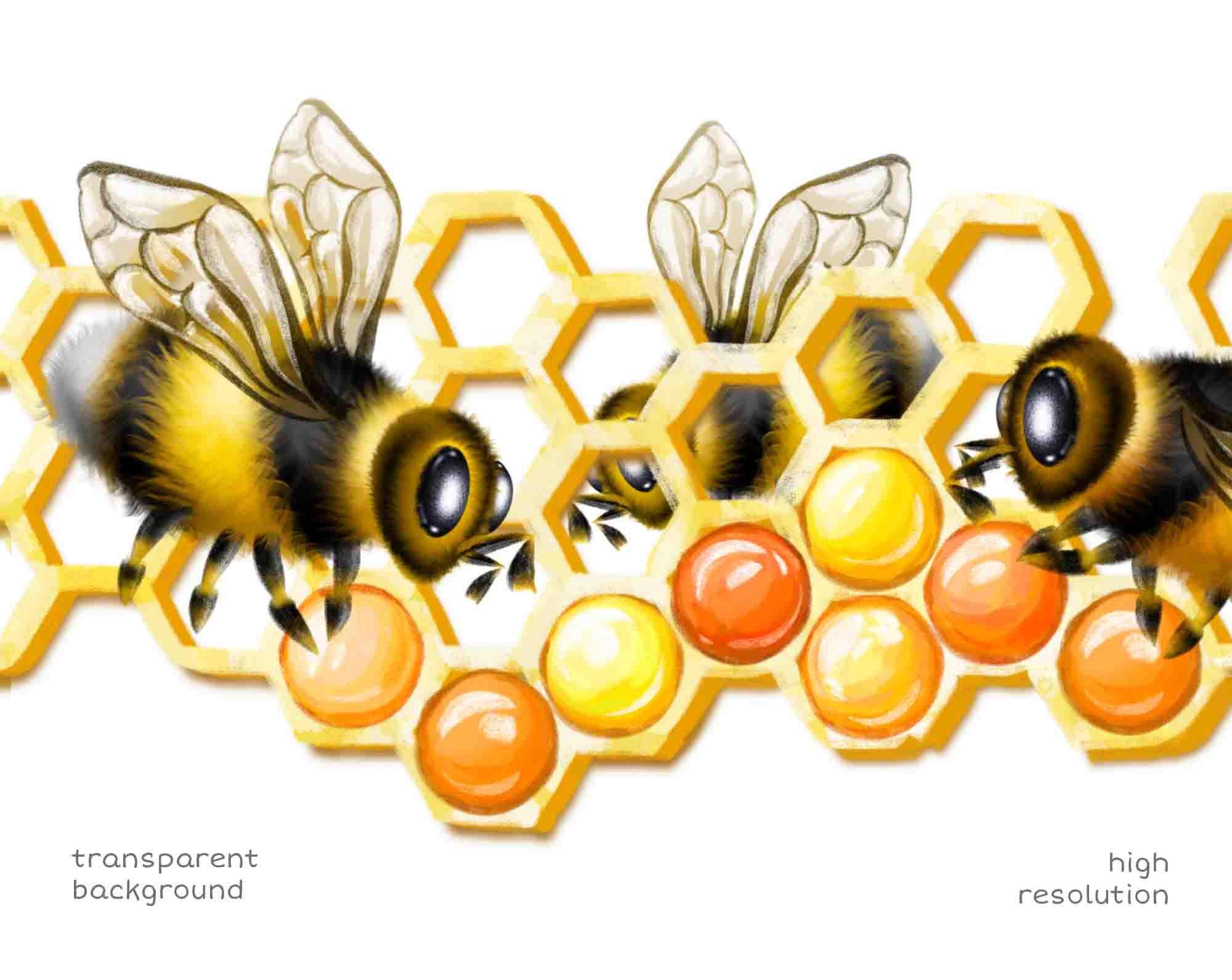 Bee Png Border Clipart Honey Seamless Border Png Files,cute Bee Digital ...
