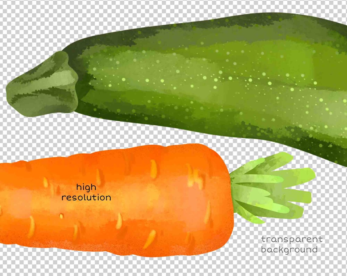 Summer Vegetable Clipart Setvegetable Png Illustration - Etsy