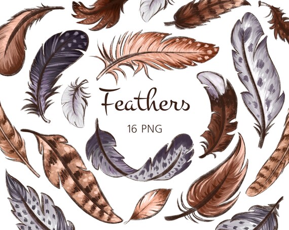 Feathers Boho Png Clipart Digital Watercolor Feather Clipart - Etsy