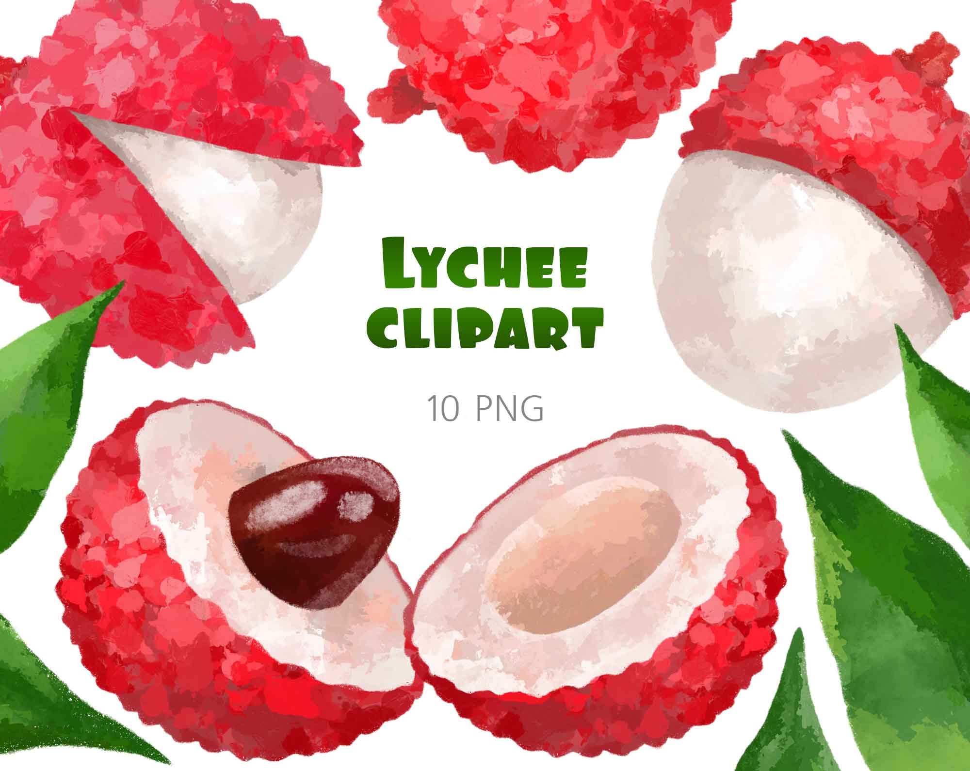 Lychee Clipart