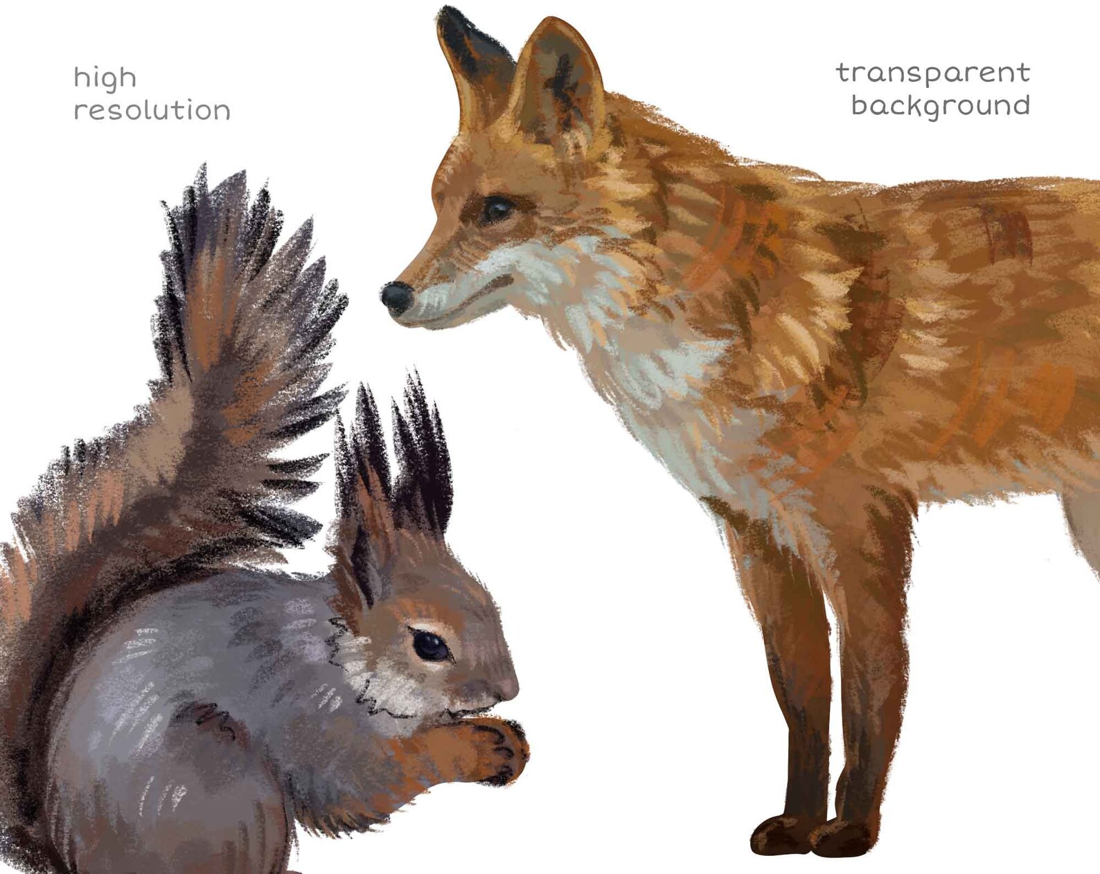 Woodland Animals Png Clipart Deer Png Fox Clipart Squirrel Png | Etsy