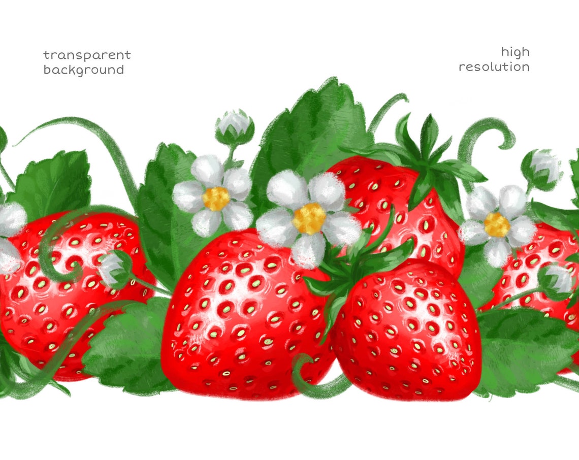 Sammer Strawberry Border Clipart Pngborder Seamless Digital - Etsy