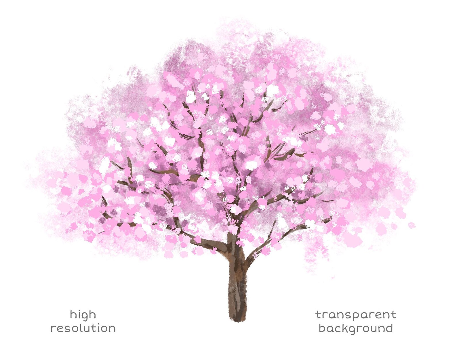 Cute Tree Clipart Digital Downloadspring Tree Png File - Etsy