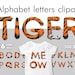 Tiger Alphabet Letters Clipart Png Abc Digital Download,sublimation ...