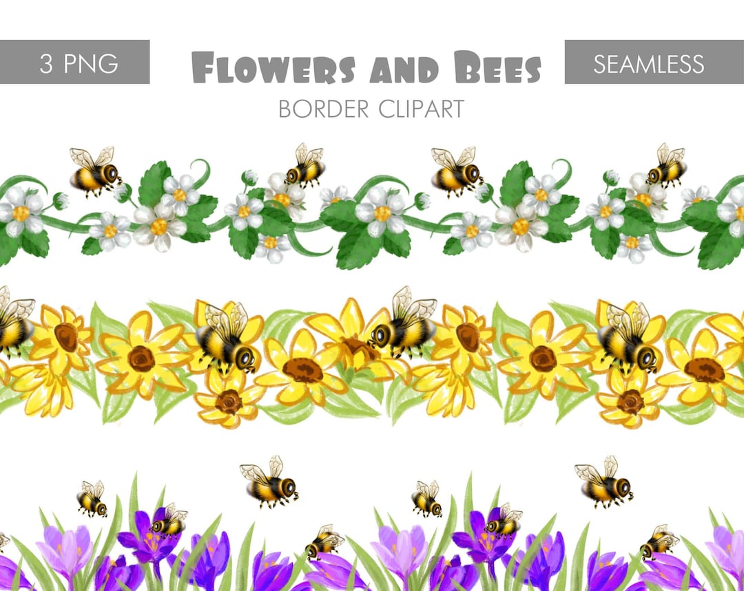 Floral Border Clipart Png Bee Seamless Files Digital Download ...
