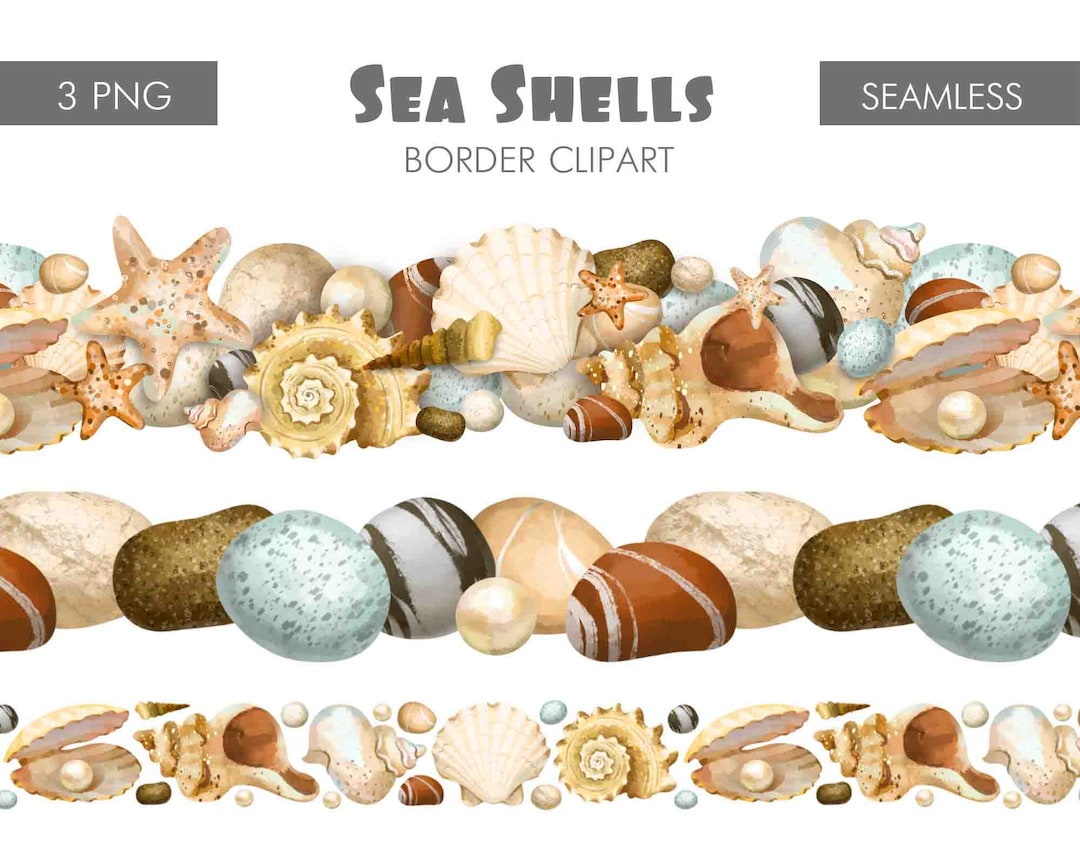 Seashell Border Clipart Png Files Digital Download,beach Seamless ...