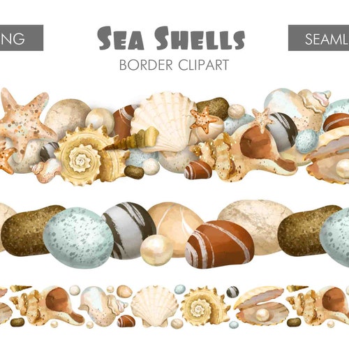 Seashell Border Clipart Png Files Digital Downloadbeach - Etsy