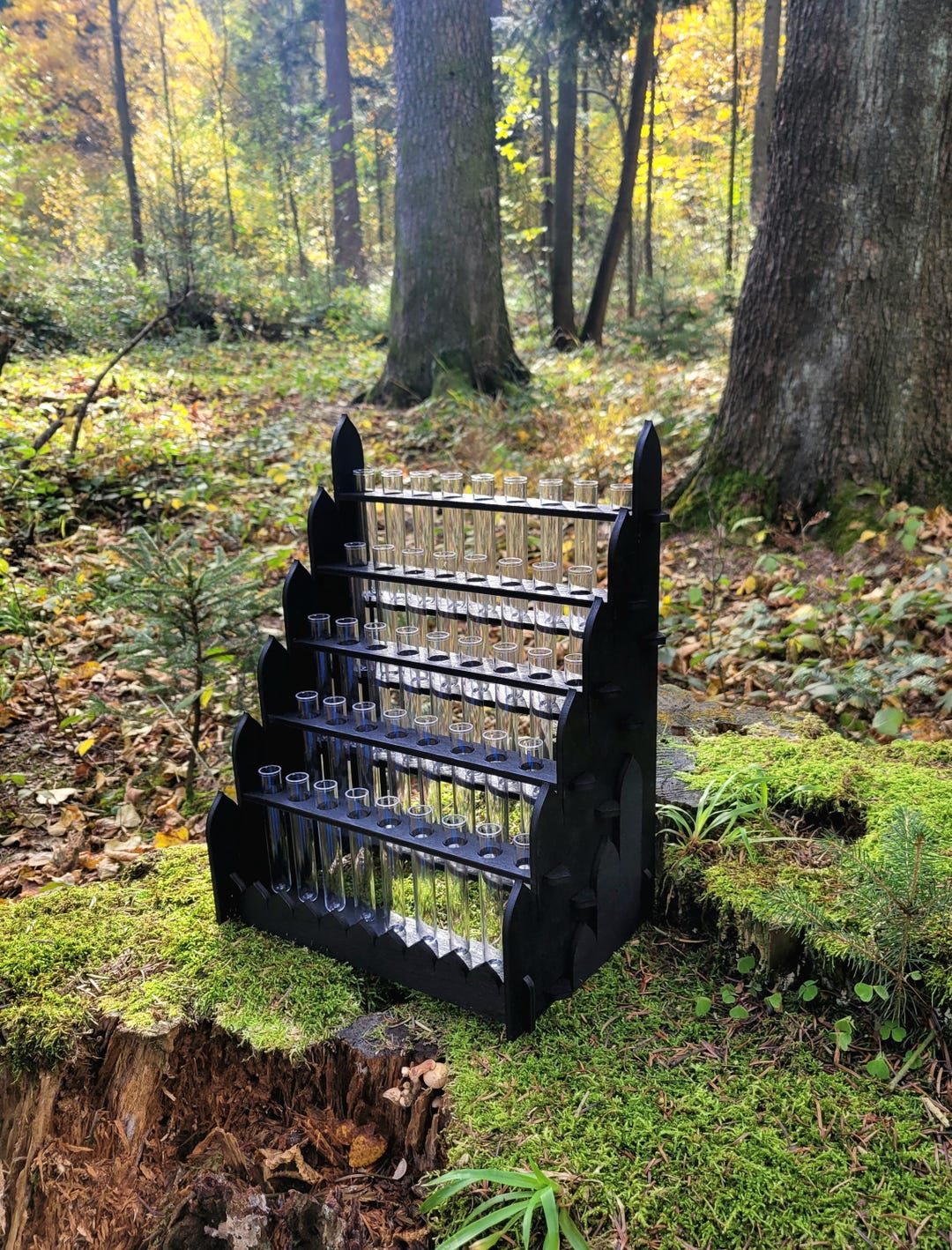 Test Tube Rack for Plant Propagation • Vial Holder Herb Display ...