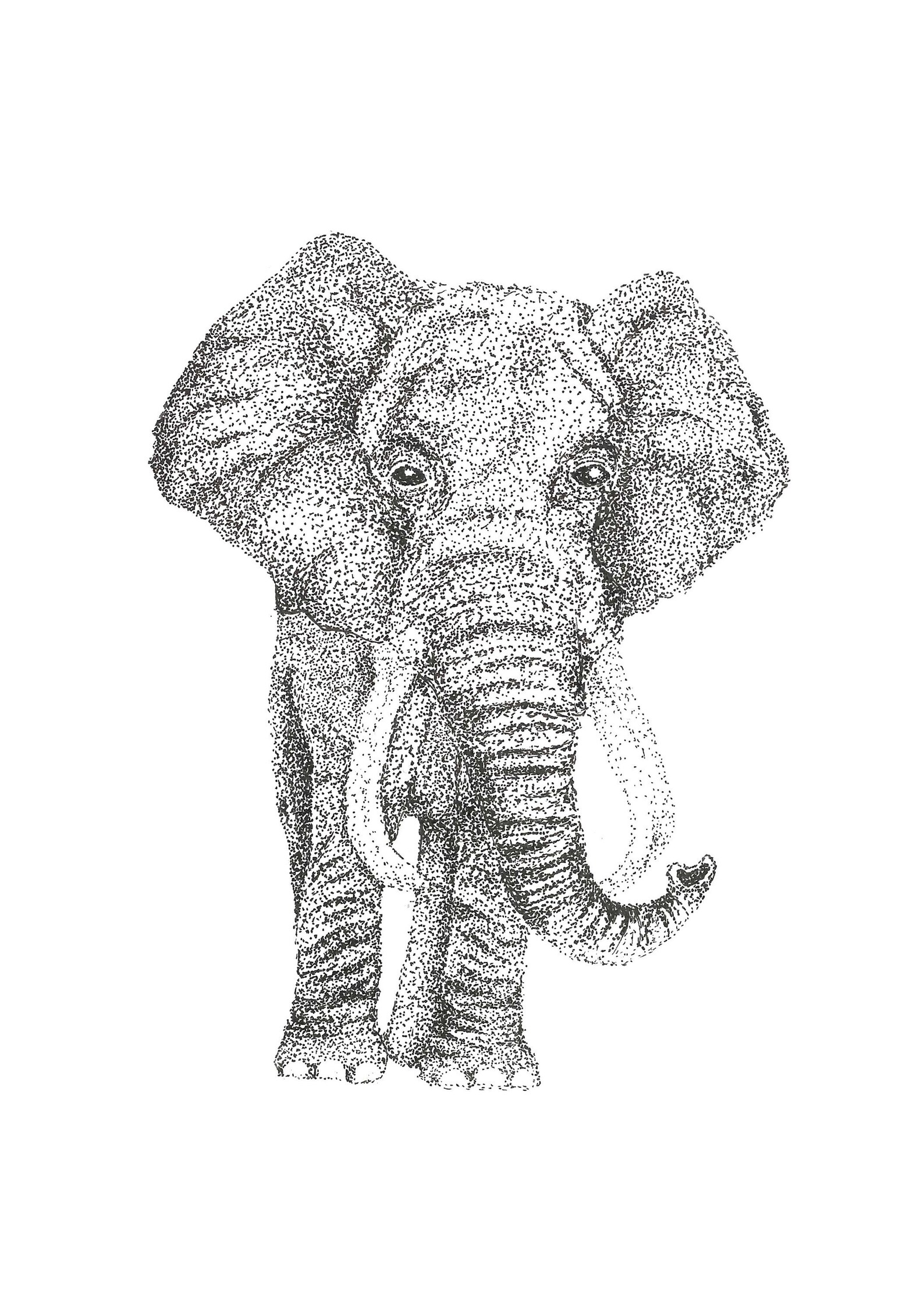 Pointillism Animal Drawing Art imprime A4 - Etsy España