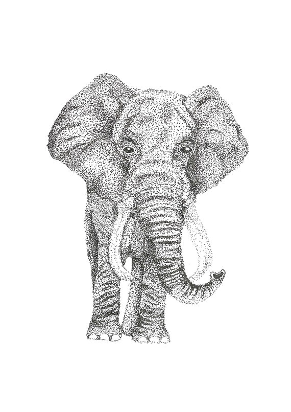 Pointillism Animal Drawing Art imprime A4 - Etsy España