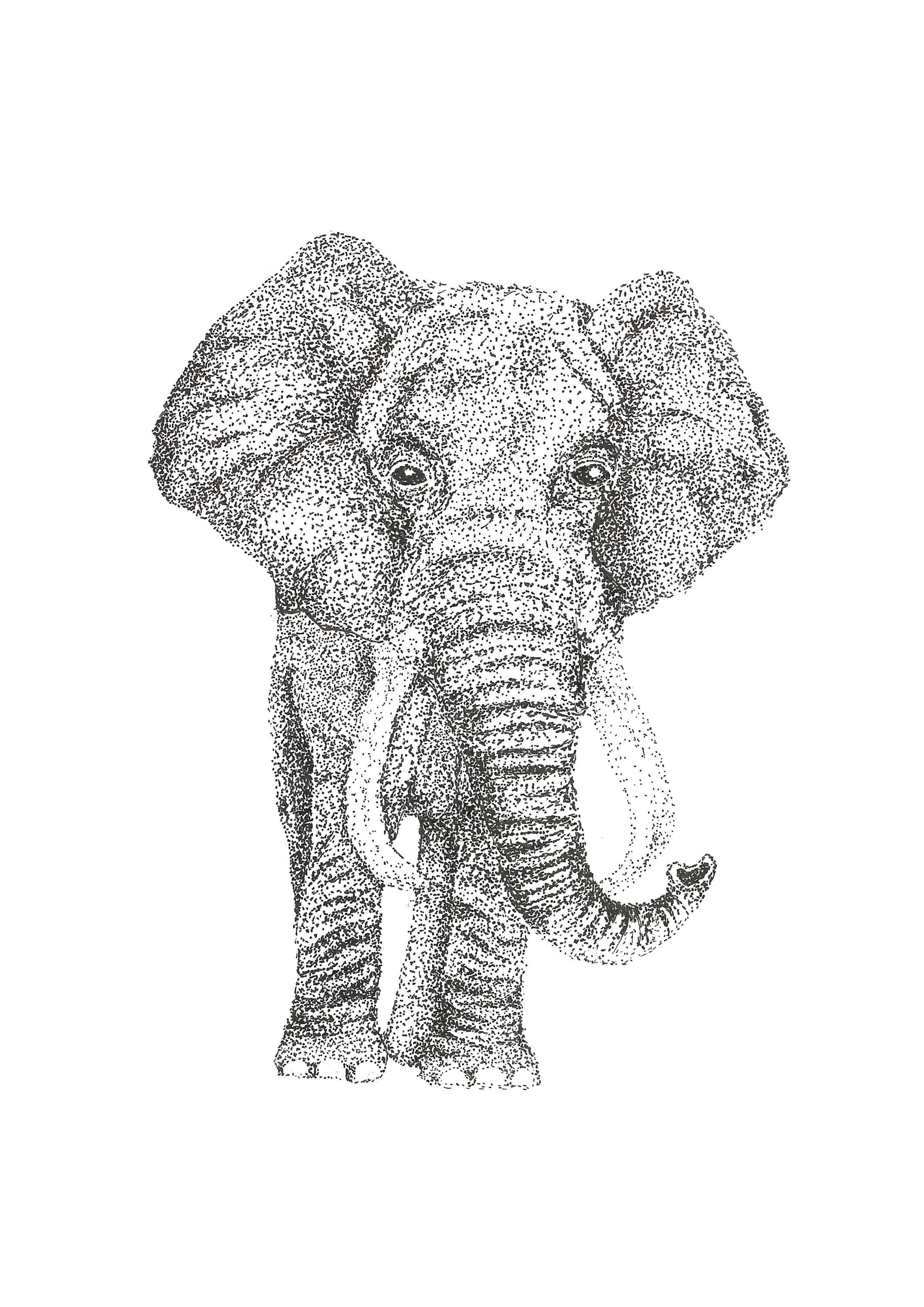 Pointillism Animal Drawing Art imprime A4 - Etsy España