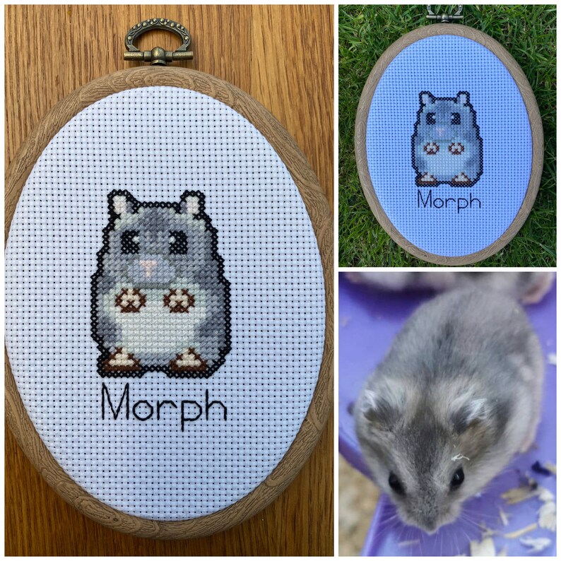 Customised Hamster Cross Stitch - Etsy