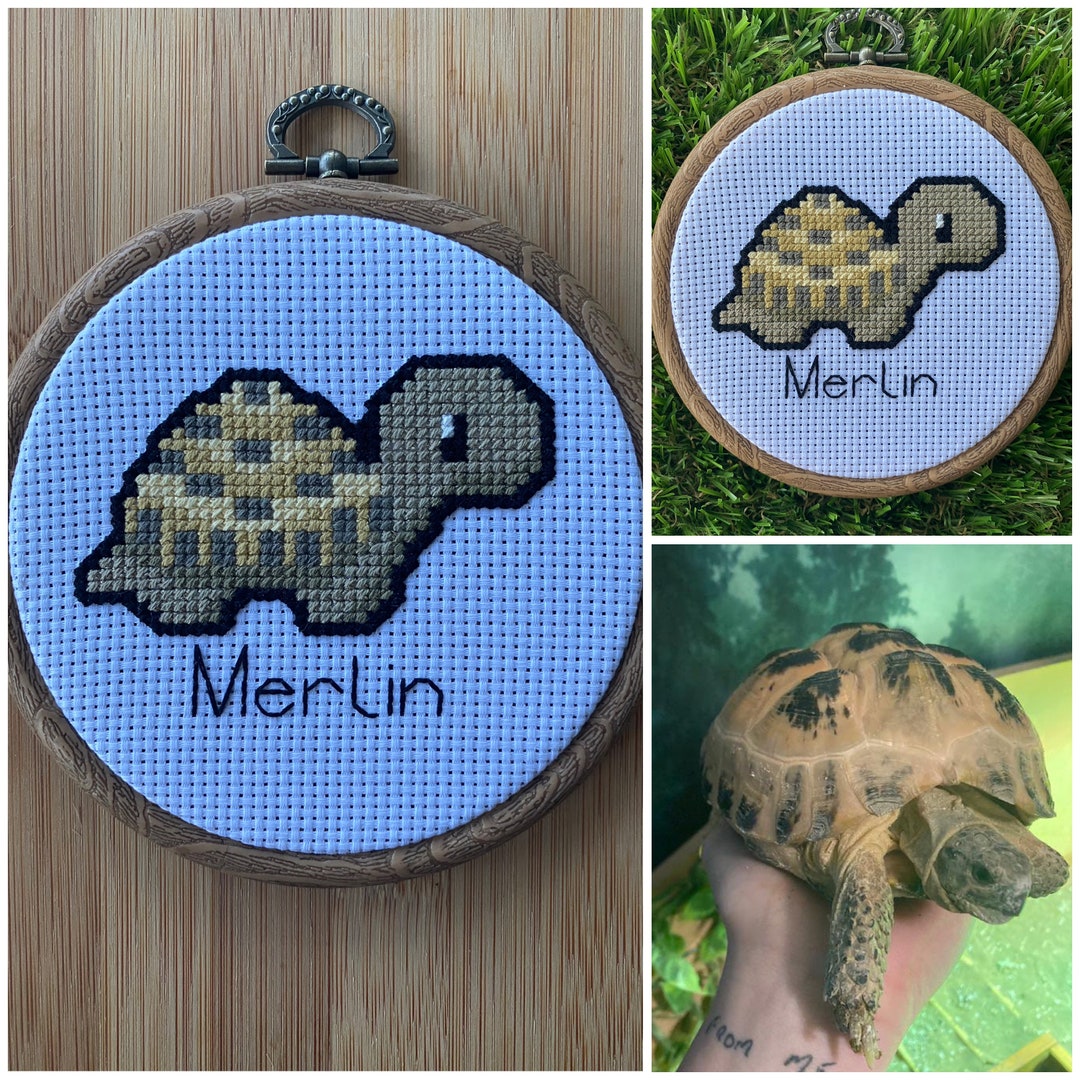 Customised Tortoise Cross Stitch - Etsy