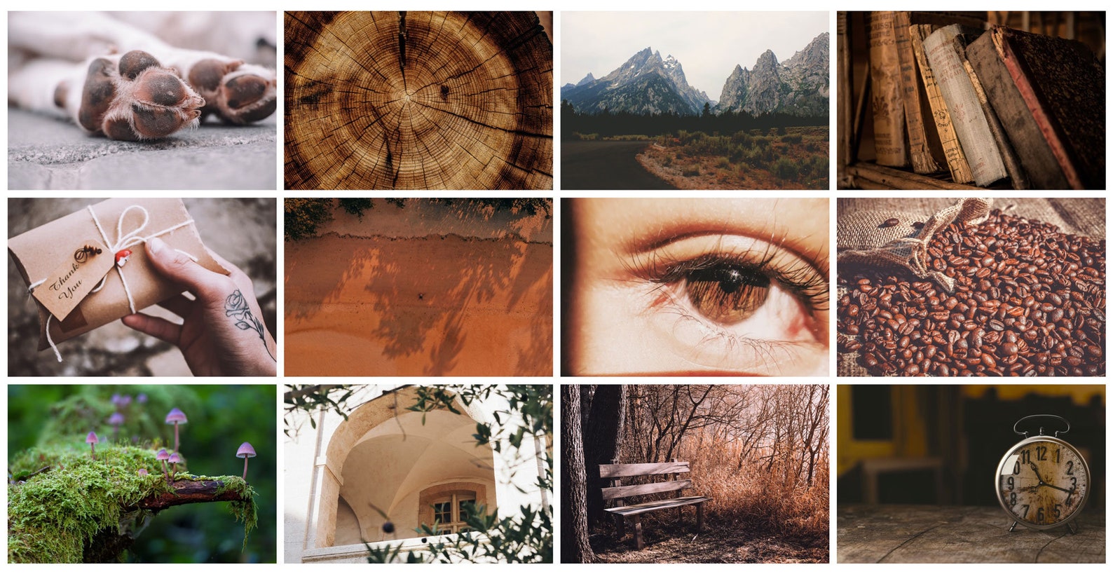 Earthy Brown VSCO Wall Collage Kit Photo Wall Aesthetic Prints Nature ...