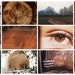 Earthy Brown VSCO Wall Collage Kit Photo Wall Aesthetic Prints Nature ...