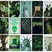 Green VSCO Wall Collage Kit Photo Wall Aesthetic Prints Dorm - Etsy
