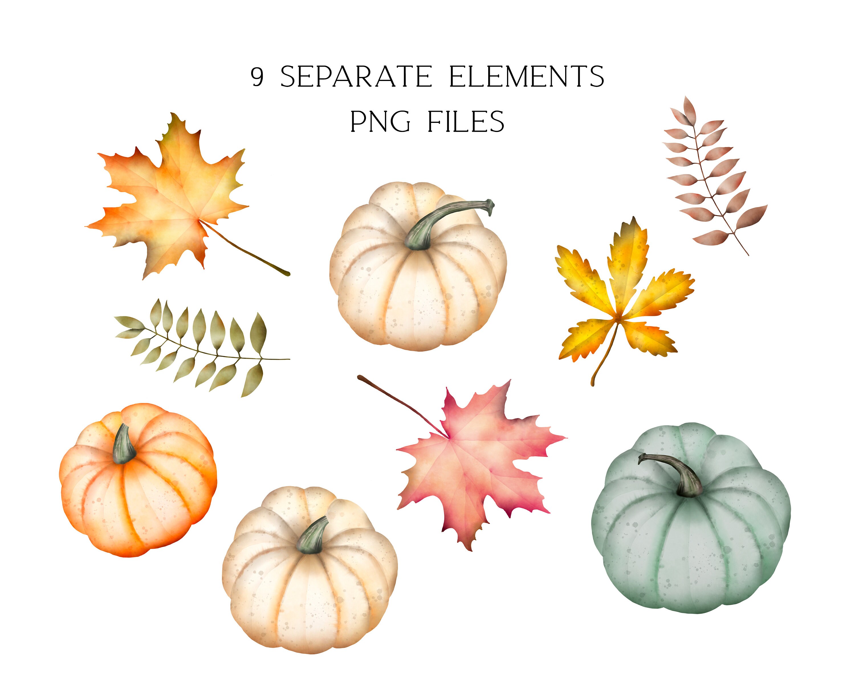 Pumpkin Clipart PNG, Thanksgiving Clipart, Autumn Clipart, Rustic ...