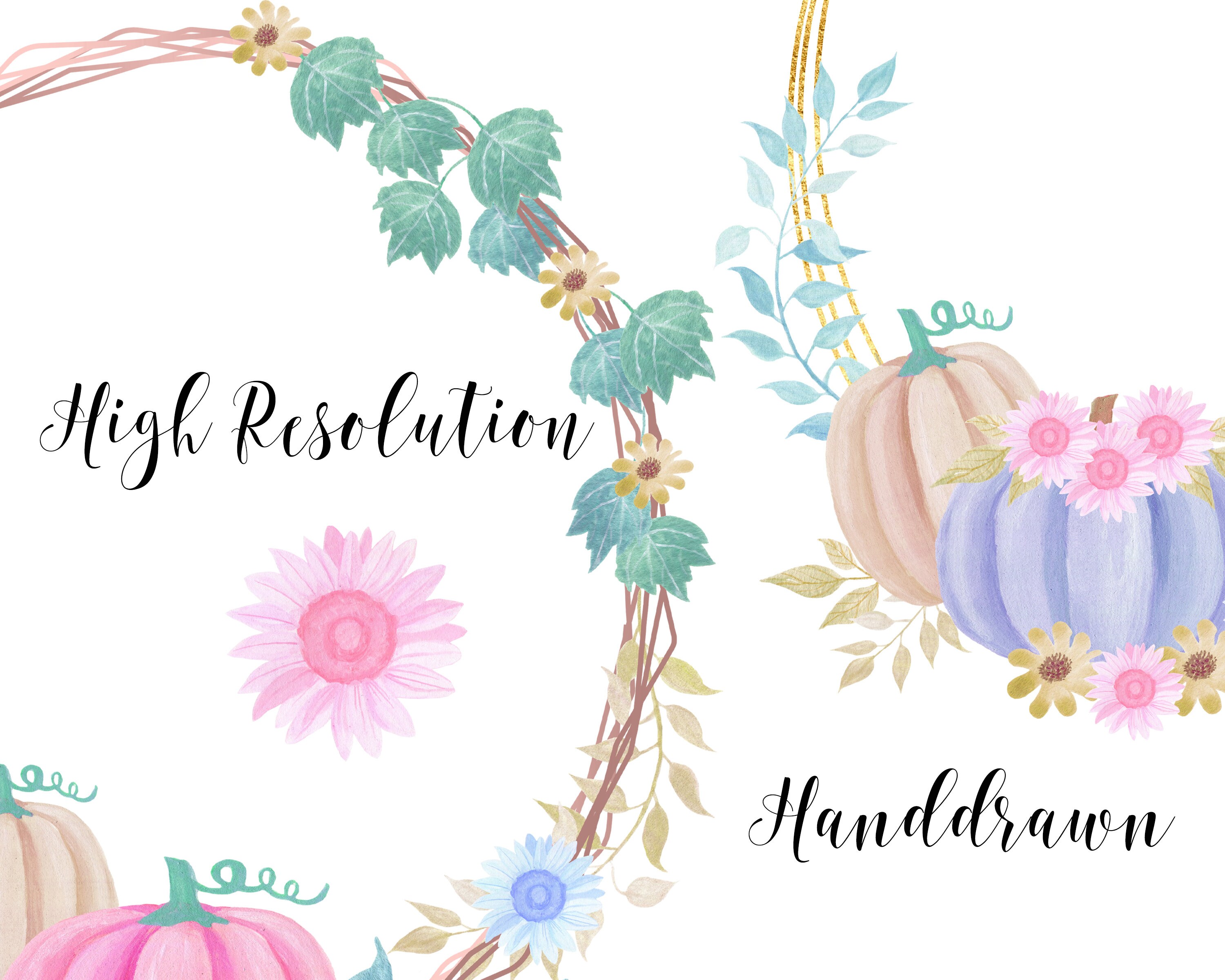 Thanksgiving Clipart Autumn Pumpkin Clipart Floral - Etsy