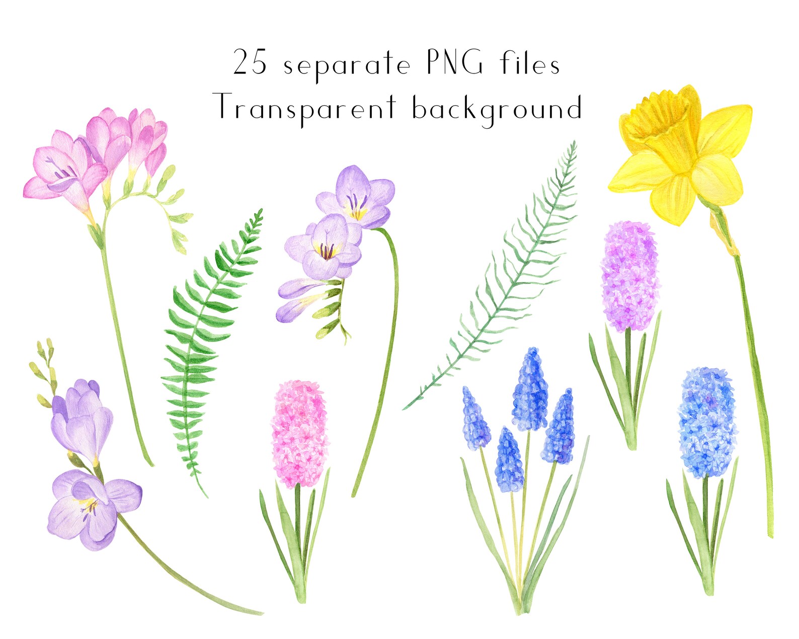 Spring Flowers Clipart Spring Clipart Watercolor PNG - Etsy