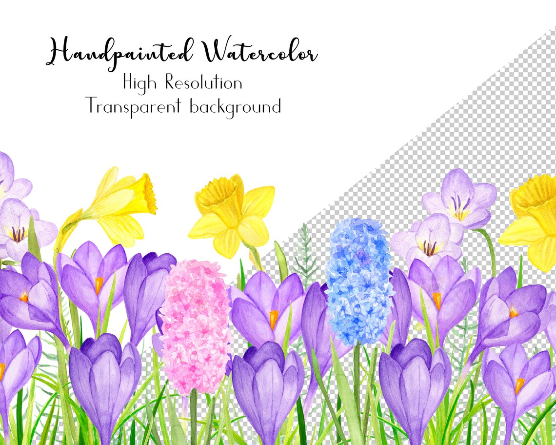Spring Frame Clipart Floral Frame Clipart Floral Borders - Etsy