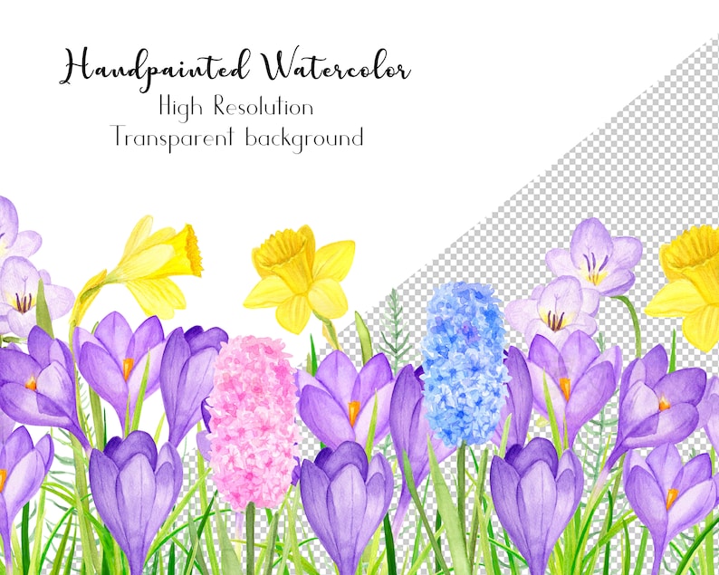 Spring Frame Clipart Floral Frame Clipart Floral Borders - Etsy