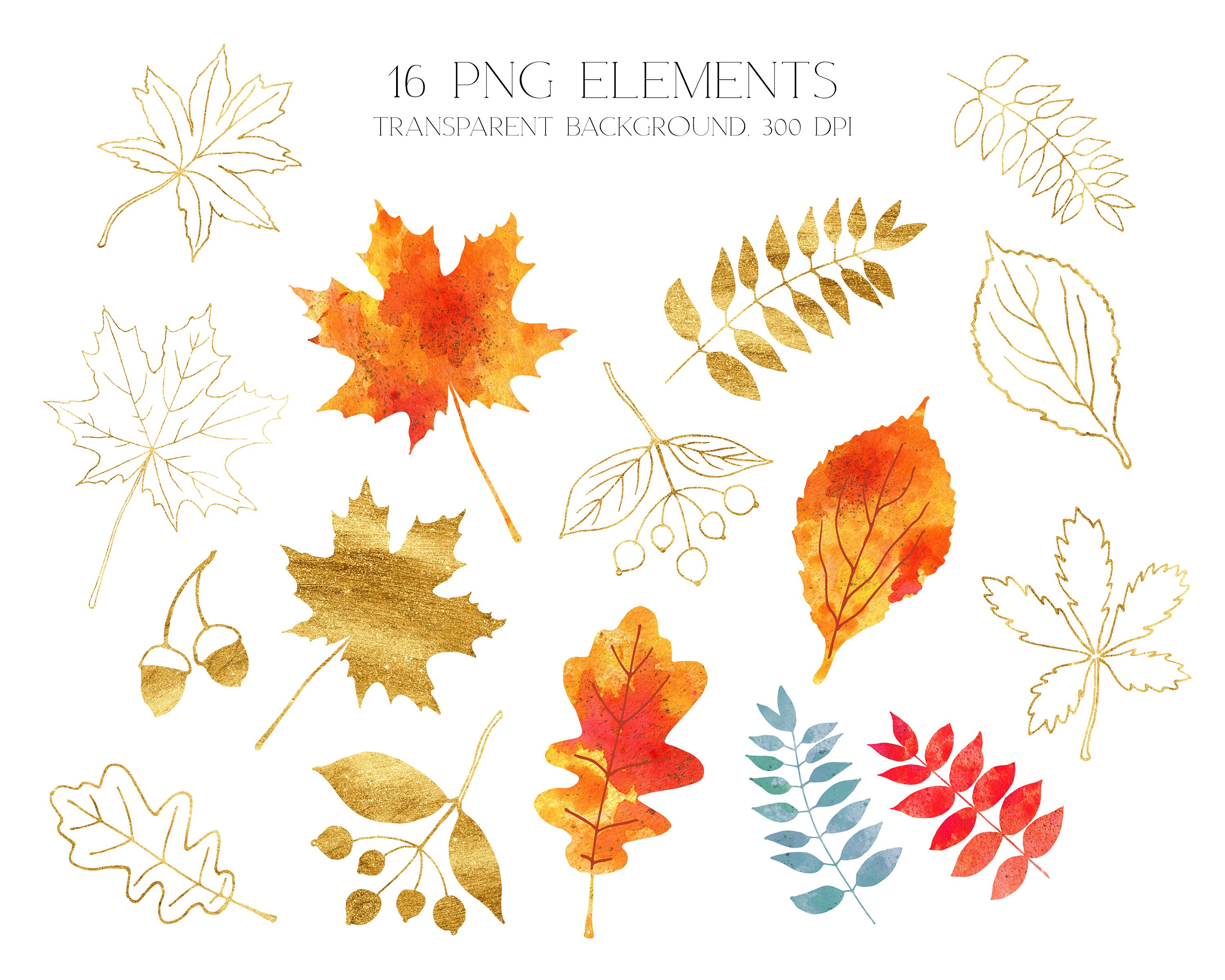 Autumn Clipart, Fall Clipart, Thanksgiving Clipart, PNG, Watercolor ...