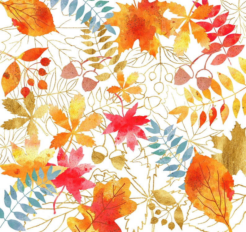 Thanksgiving Clipart Watercolor Clipart Fall Clipart Autumn | Etsy