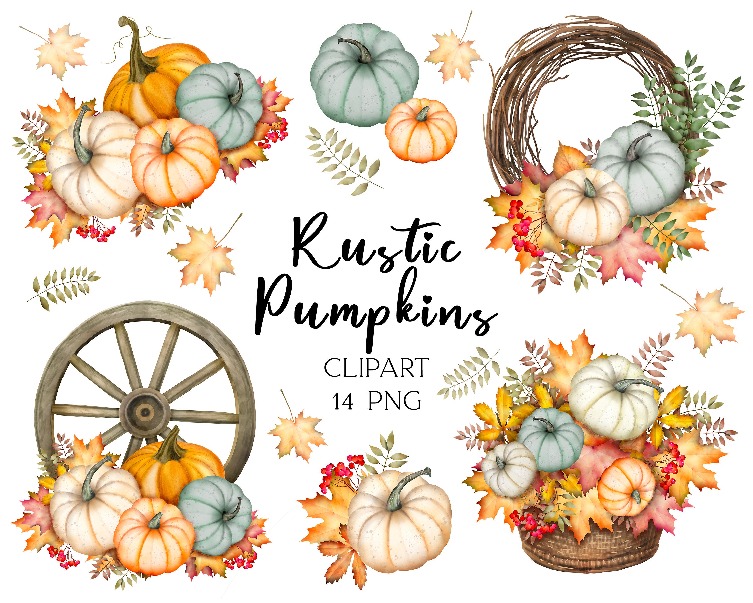 Pumpkin Clipart PNG, Thanksgiving Clipart, Autumn Clipart, Rustic ...