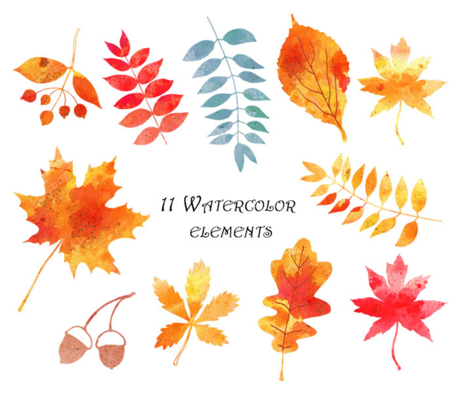 Thanksgiving Clipart Watercolor Clipart Fall Clipart Autumn | Etsy