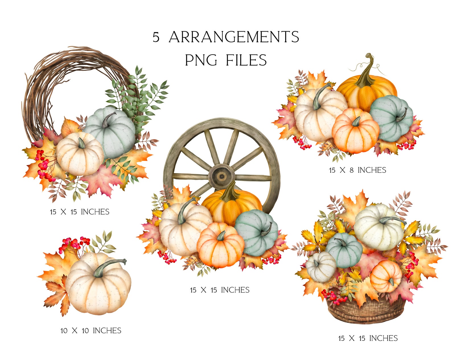Pumpkin Clipart PNG, Thanksgiving Clipart, Autumn Clipart, Rustic ...