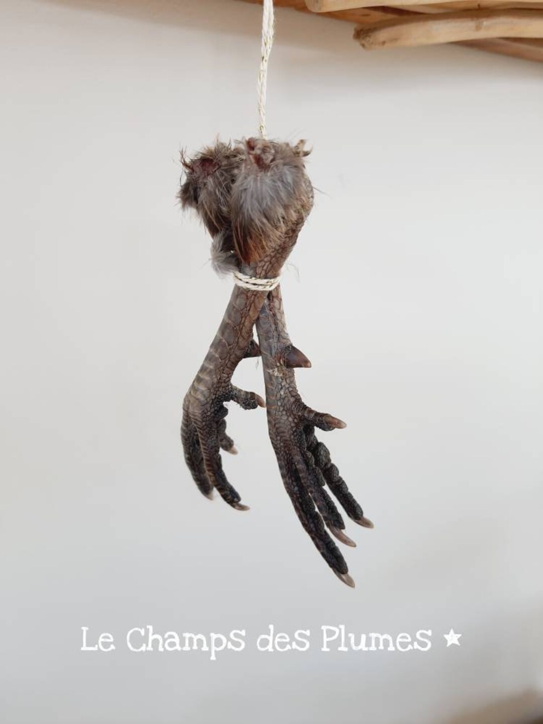 Pair of Natural Pheasant Legs Pheasant Feet Taxidermy Bird Feet - Etsy