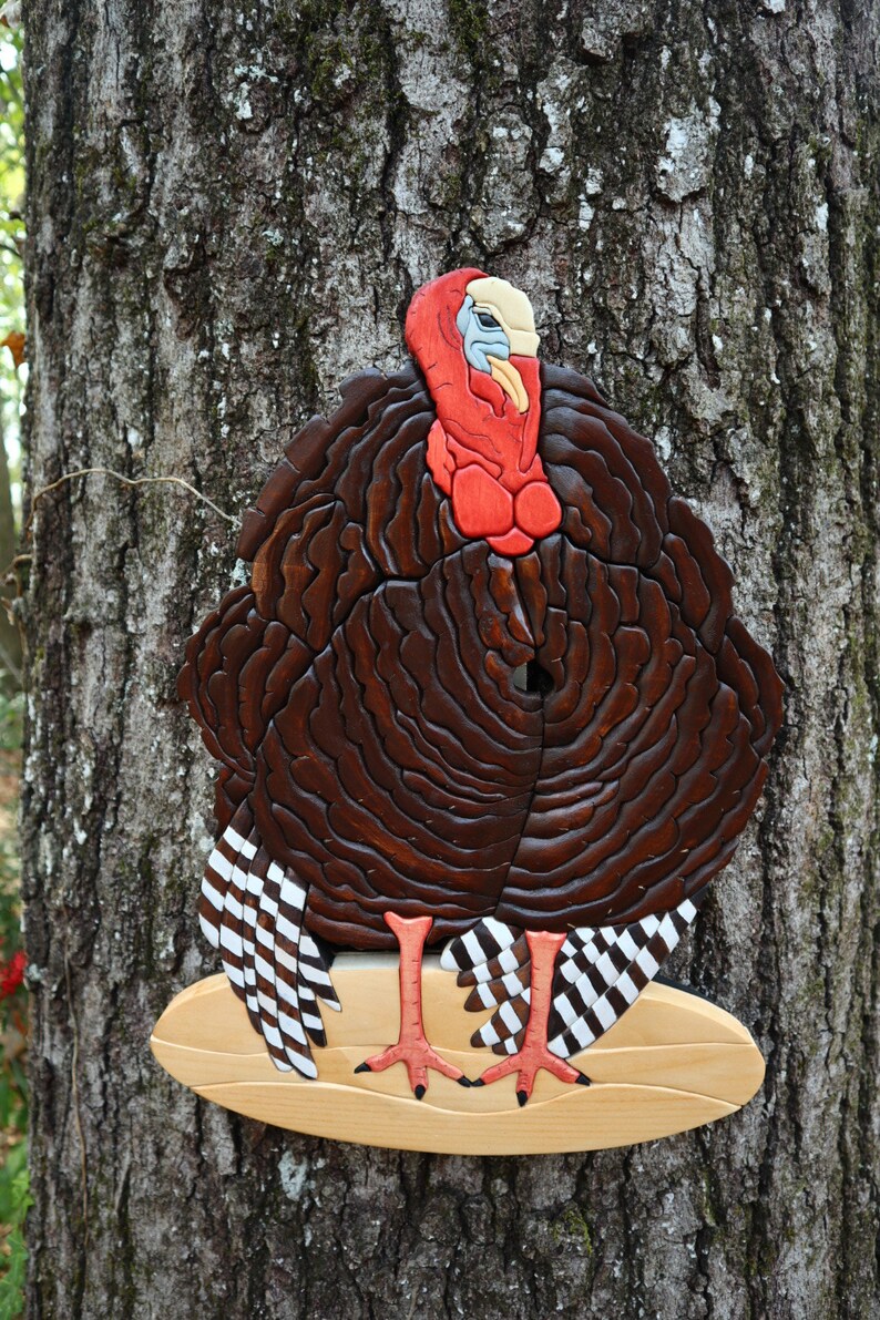 Wooden Turkey Fan Mount - Etsy