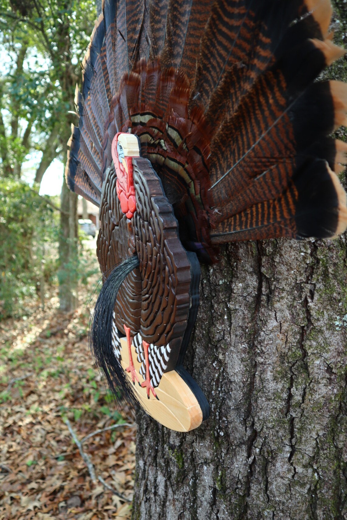 Wooden Turkey Fan Mount - Etsy