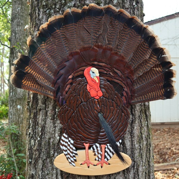 Turkey Fan Mount - Etsy