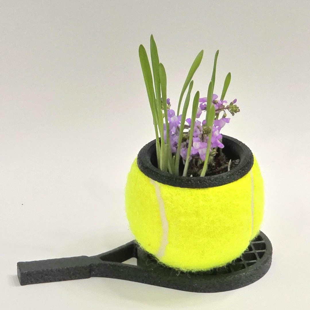 Tennis Ball Plant Pot Succulent Planter With Racket Stand, Unique ...