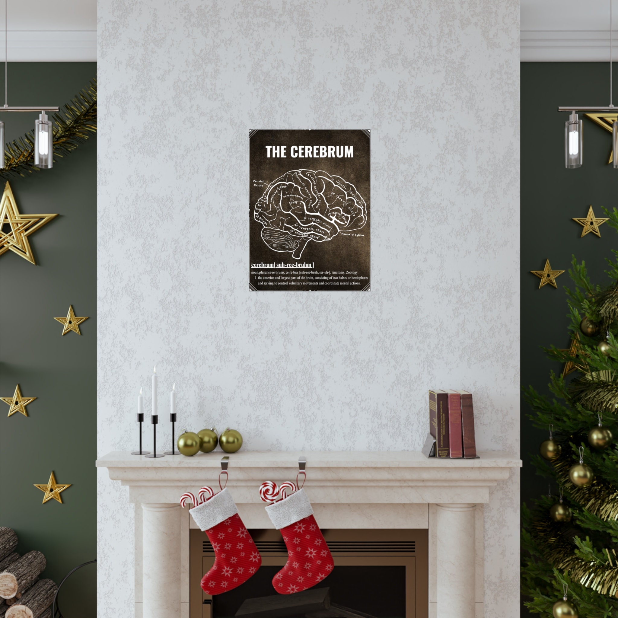 Cerebrum Poster | Brain Poster | Doctor Office Poster | Medical Poster ...