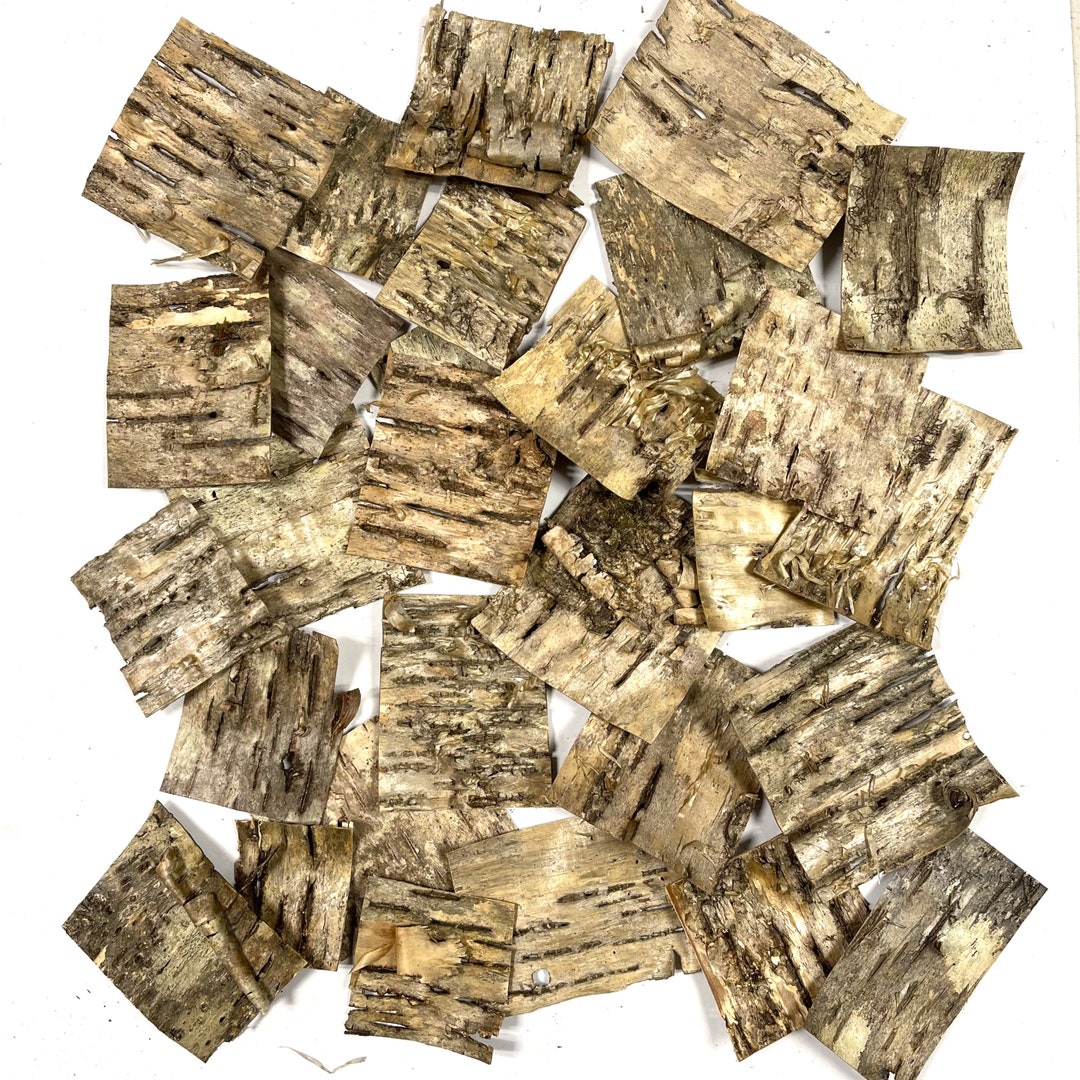 Golden Birch Bark, 25 Sheets, 2" to 4", 1mm Thick, Cards, Collage, Veneer, Natural Craft Supply ...