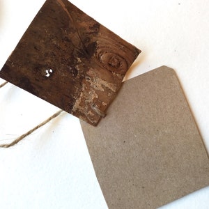 Birch Bark Tags, Set of 6, Assorted, Birch Pieces, 2x3, Heavy Kraft ...