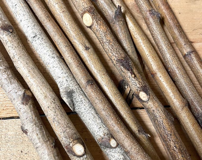 Birch Branches: Bundle of 10, 5/8" X 20", Macrame, Weaving, Small ...