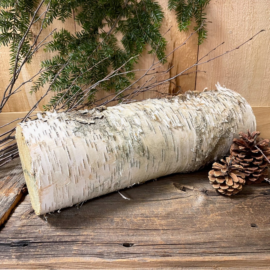 White Birch Yule Log 16x 5 Seasoned Holiday - Etsy