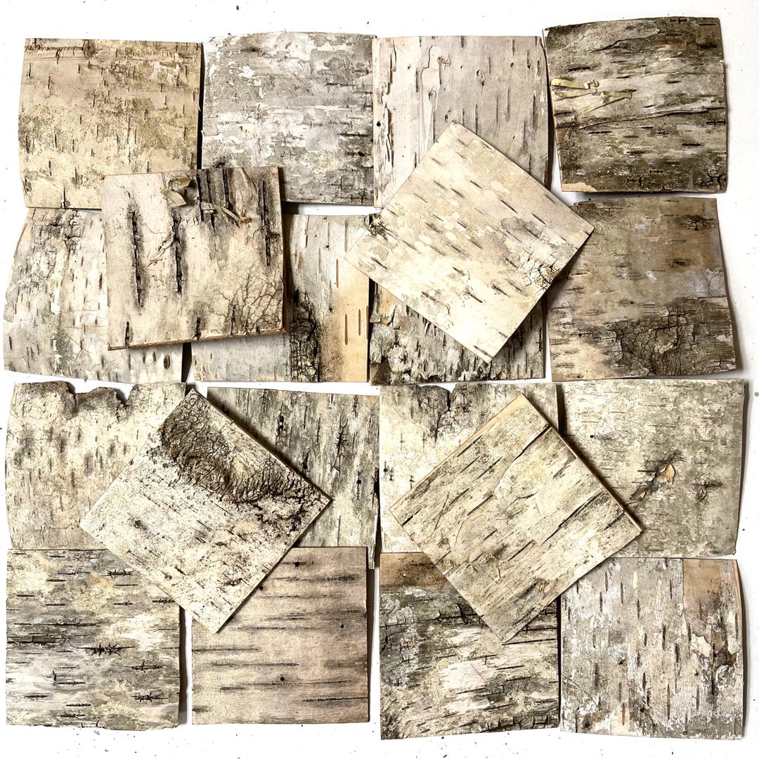 20 Birch Bark Sheets, 3