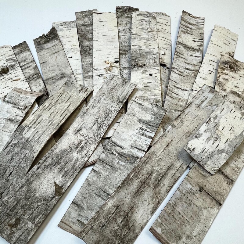 Birch Bark Strips - Etsy