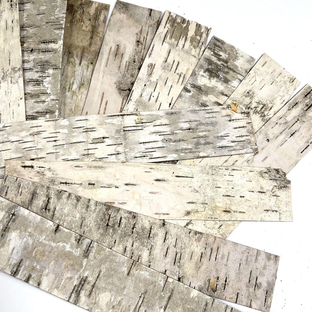 12 Birch Bark Sheets, Natural Crafts, 2