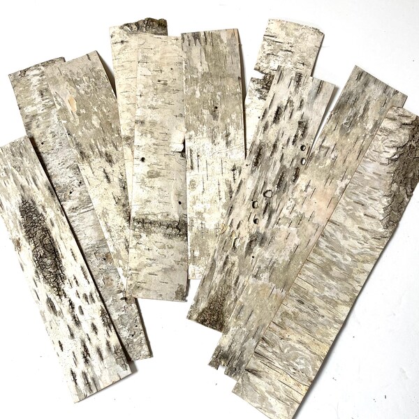Birch Bark Strips - Etsy