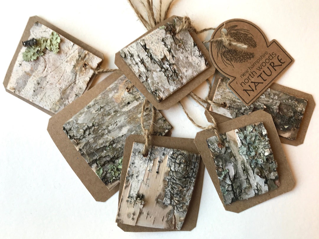 Birch Bark Tags, Set of 6, Assorted, Birch Pieces, 2x3, Heavy Kraft ...