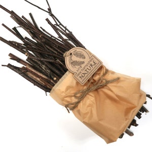 50 Assorted Birch Sticks, Fairy House Supplies, Stick Furniture, Little ...