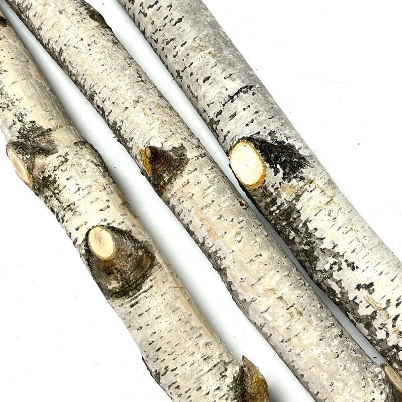 20 Inch Bird Perch - Etsy